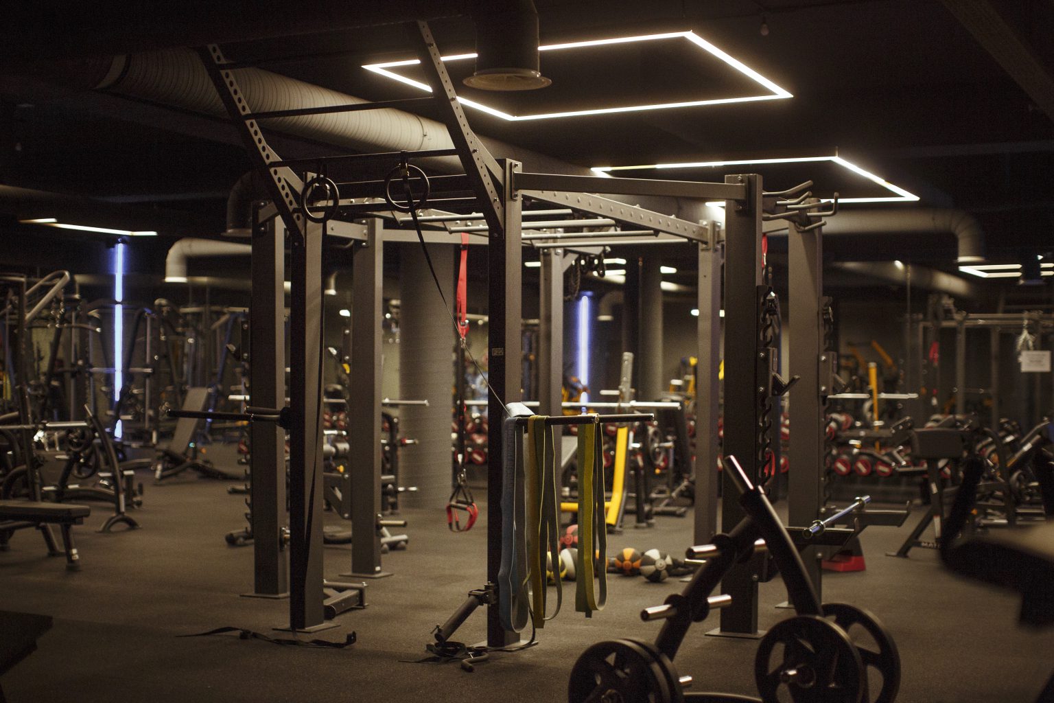 Era Gym | Made to be great!