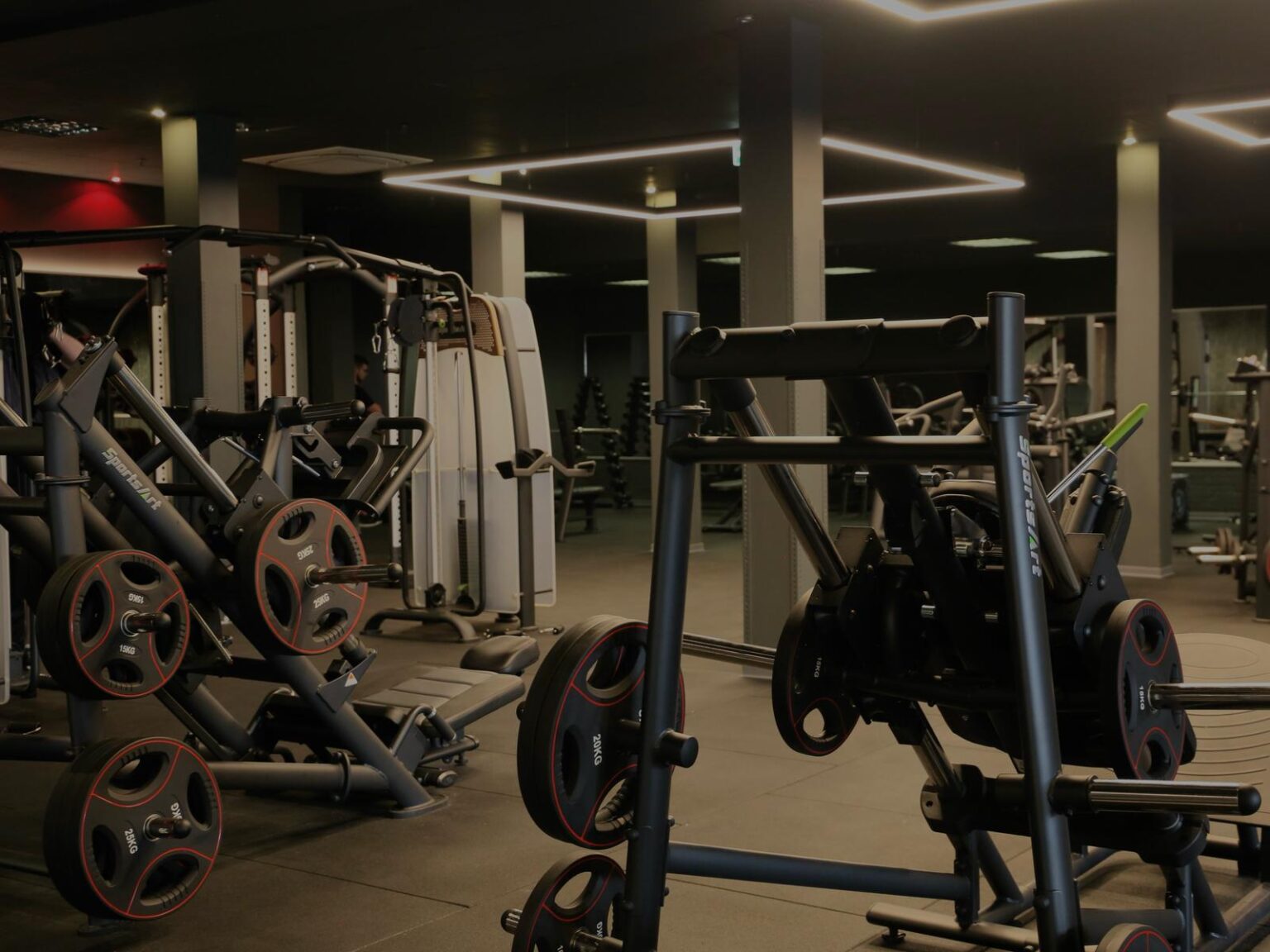 Era Gym | Made to be great!