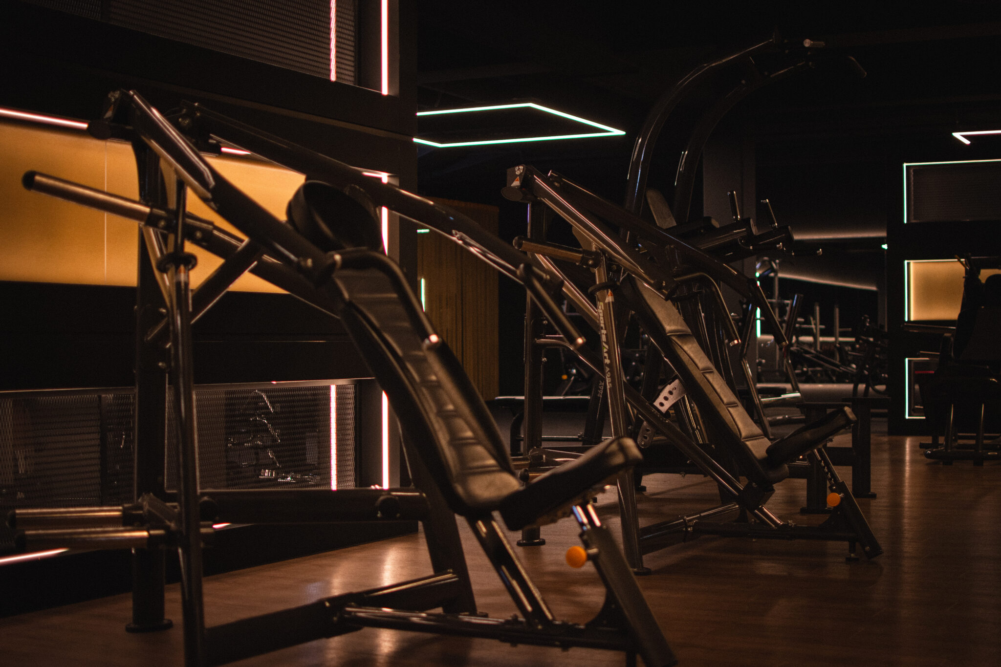 Era Gym | Made to be great!